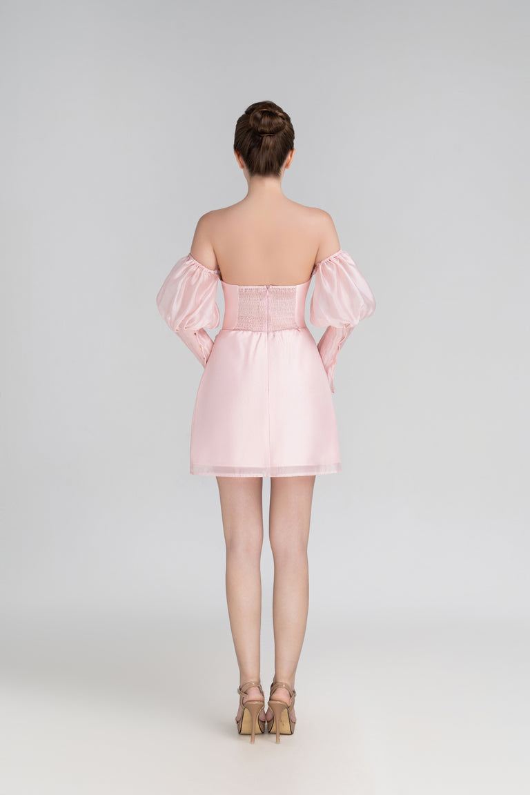 Miranda Organza Bardot Mini Dress – ANMY BUI